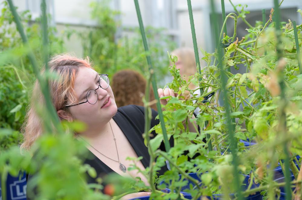 Agricultural Science and Agribusiness Program | Academics